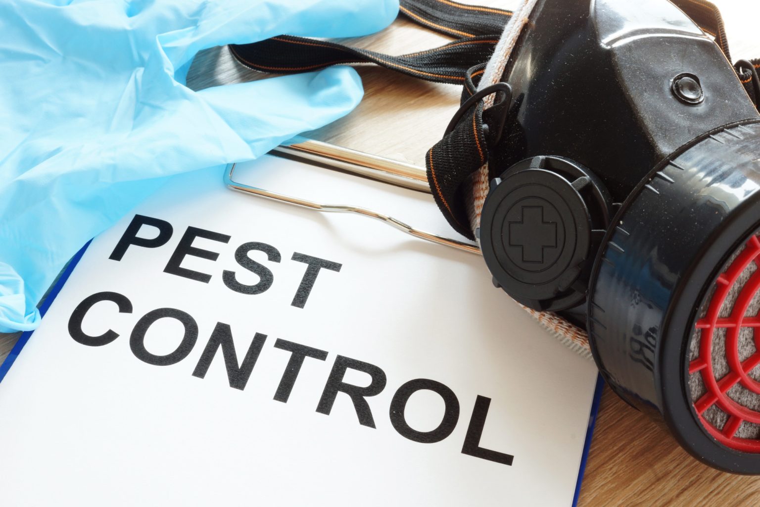 5 Signs It's Time to Call Your Local Pest Control Company - Civil Manage