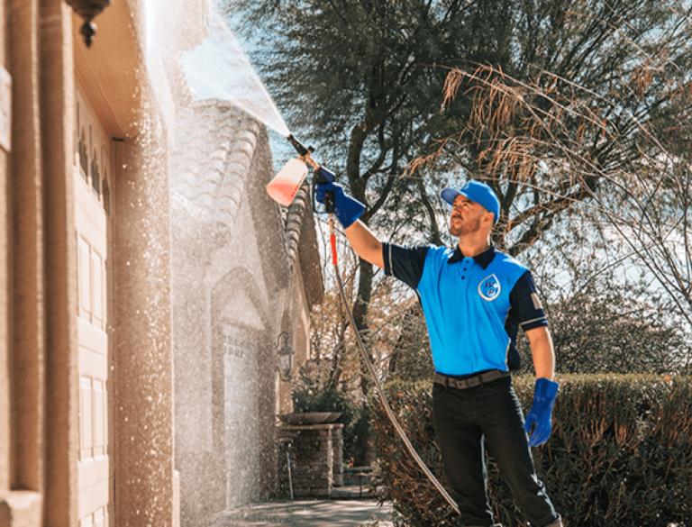 The Importance of Soft Washing: Enhancing the Beauty and Longevity of ...